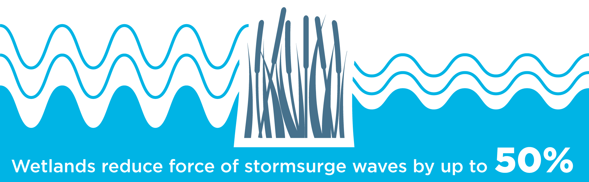 Adapting to flooding and sea level rise through wetland conservation ...