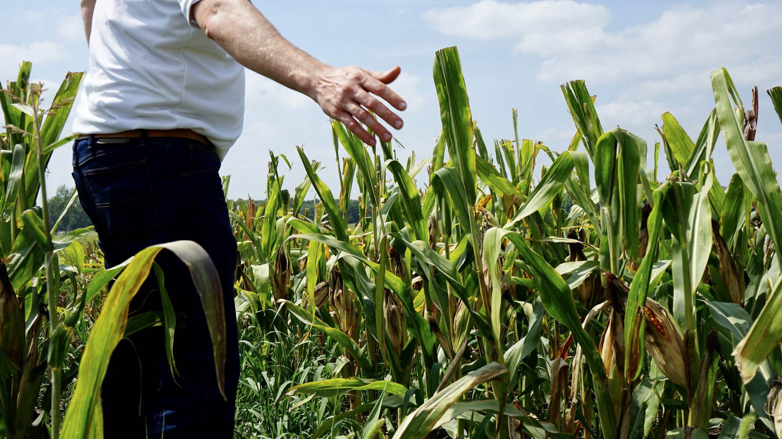 AFC pilot: Scaling agricultural practices to address flooding ...
