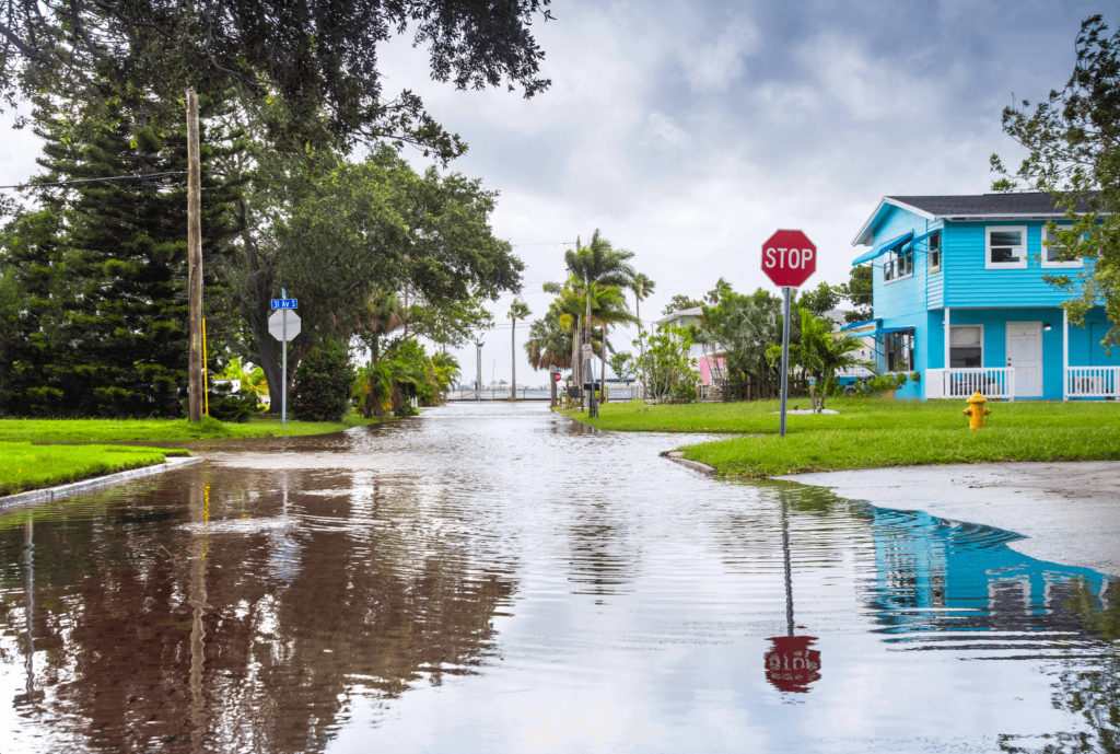 Our Work: Federal - American Flood Coalition