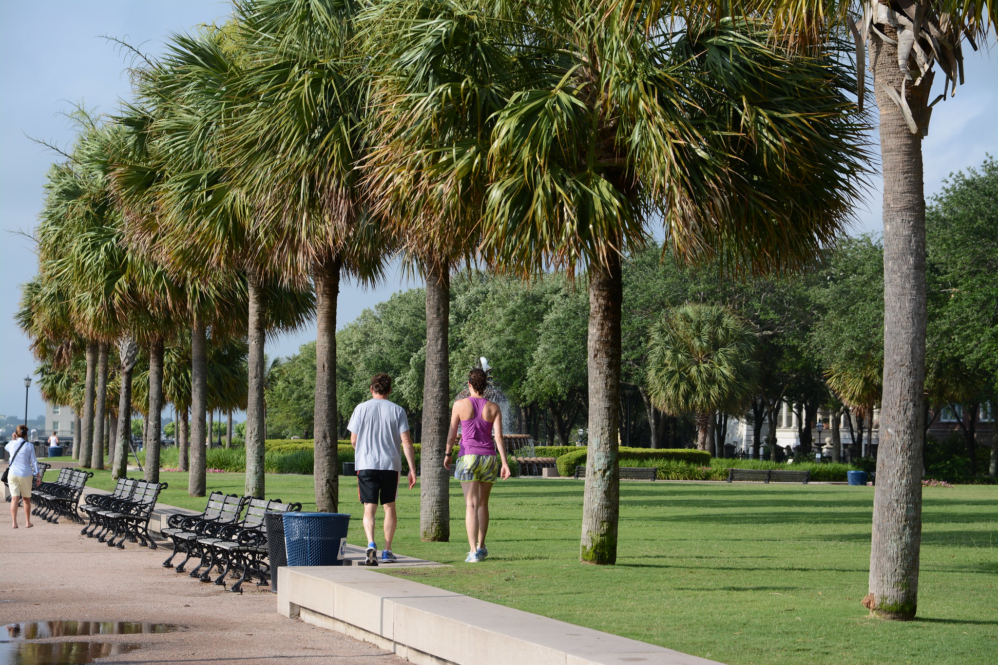 Charleston must keep its anti-flooding momentum going - American Flood ...