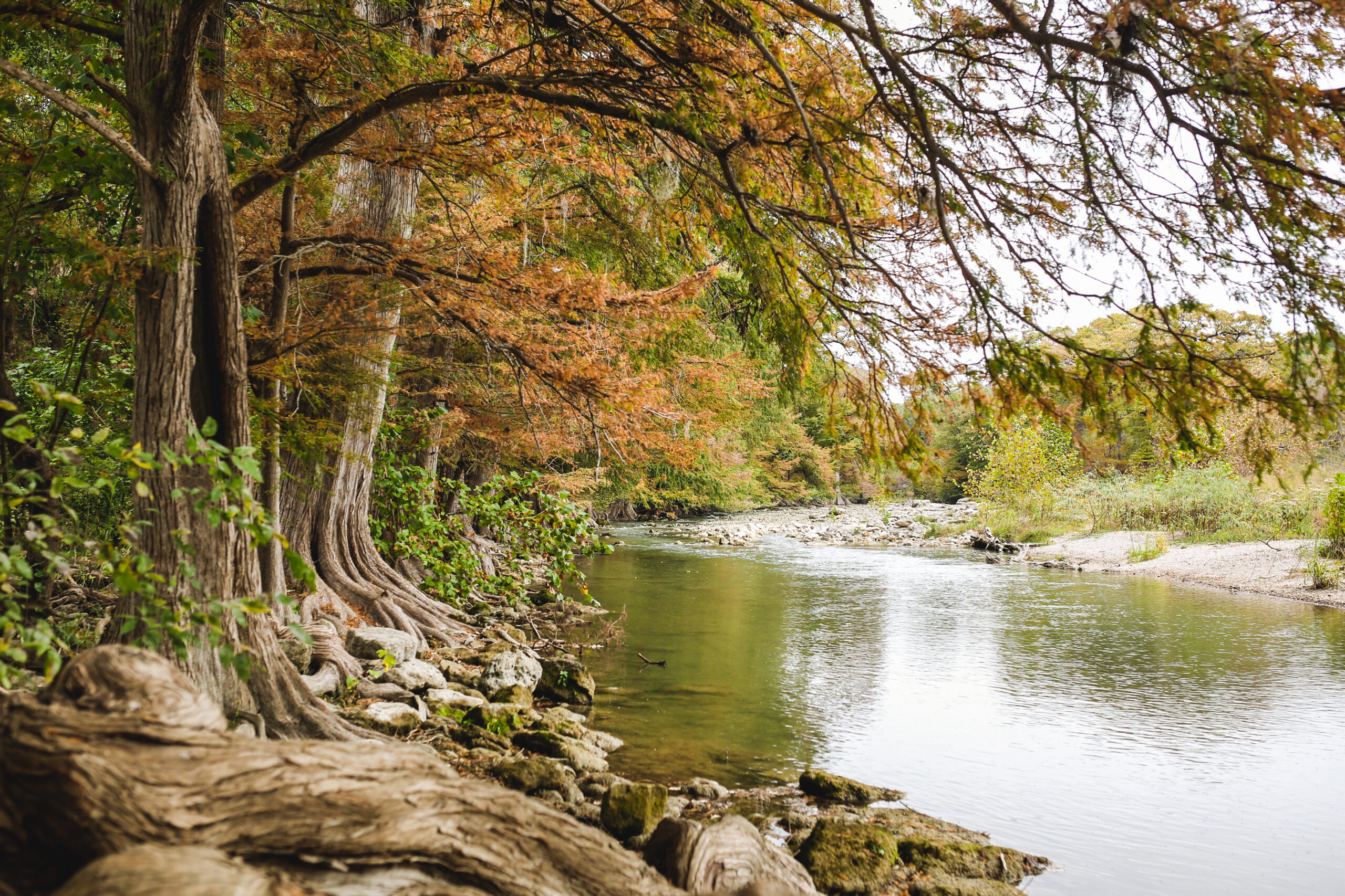 Western North Carolina leaders travel to Kerr County, Texas to offer ...